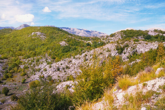 Sitnica Bilder – Durchsuchen 33 Archivfotos, Vektorgrafiken und Videos ...