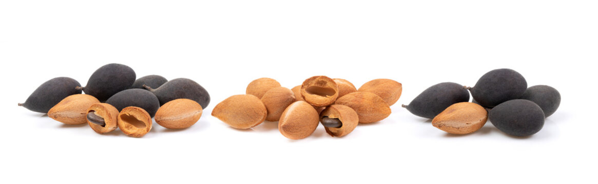 รูปภาพDialium – เลือกดูภาพถ่ายสต็อก เวกเตอร์ และวิดีโอ240 | Adobe Stock