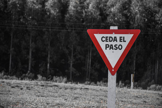 "Ceda El Paso" Images – Browse 154 Stock Photos, Vectors, and Video ...