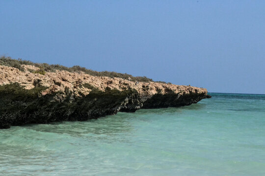 「Moucha」の写真素材 | 15件の無料イラスト画像 | Adobe Stock