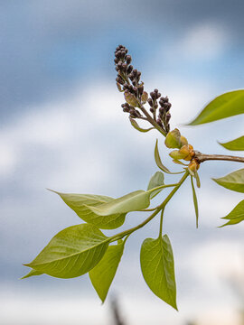 Spaeth Images – Browse 19 Stock Photos, Vectors, and Video | Adobe Stock