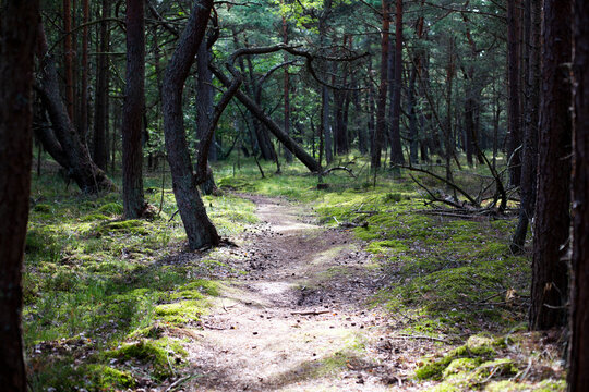 "Las Iglasty" Images – Browse 270 Stock Photos, Vectors, and Video ...