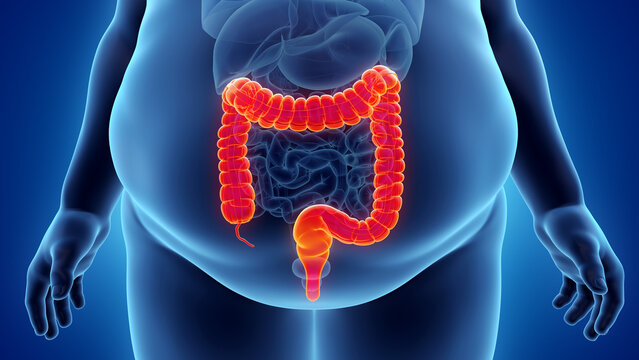 Mastdarm Bilder – Durchsuchen 16,685 Archivfotos, Vektorgrafiken und ...