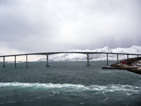 「Stolidly」の画像 - 1,249 件の Stock 写真、ベクターおよびビデオ | Adobe Stock