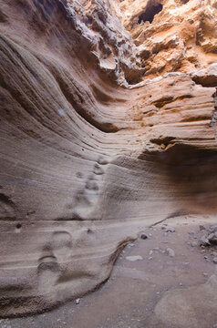 รูปภาพLithification – เลือกดูภาพถ่ายสต็อก เวกเตอร์ และวิดีโอ156 | Adobe Stock