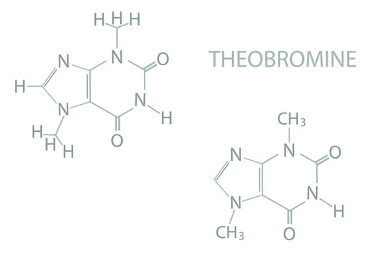 Theobromin bilder – Bläddra bland 868 stockfoton, vektorer och videor ...