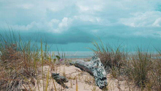 Calmful Bilder – Durchsuchen 100 Archivfotos, Vektorgrafiken und Videos ...