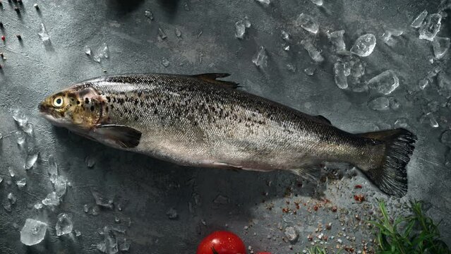 รูปภาพPescetarianism – เลือกดูภาพถ่ายสต็อก เวกเตอร์ และวิดีโอ6,093 ...