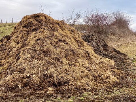 Farmyard Manure