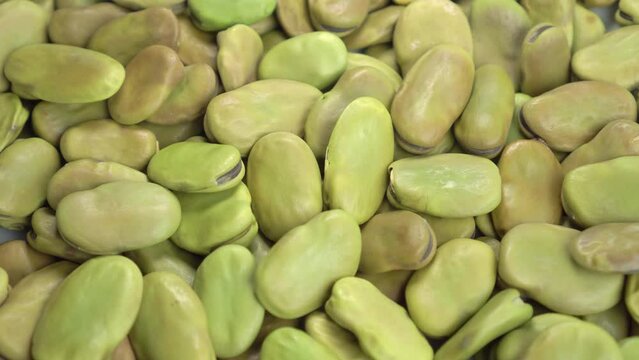 Broad Beans Images – Browse 31,346 Stock Photos, Vectors, and Video ...