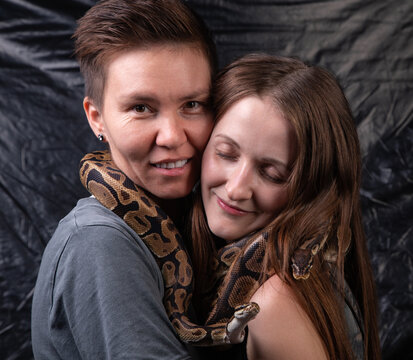 Obrázky Python – procházejte fotografie, vektory a videa 80,726 | Adobe ...