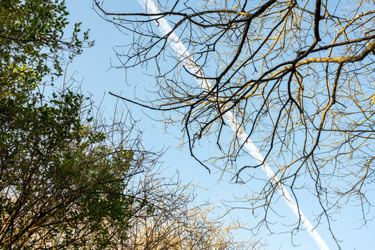 "Chemical Trails" Images – Browse 3,102 Stock Photos, Vectors, and ...