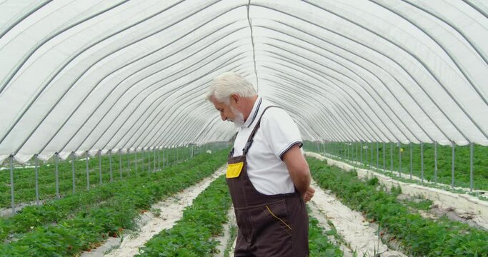 Observating Images – Browse 121 Stock Photos, Vectors, and Video ...