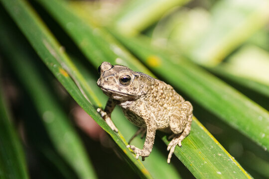 รูปภาพSalientia – เลือกดูภาพถ่ายสต็อก เวกเตอร์ และวิดีโอ5,348 | Adobe Stock