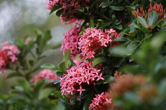 รูปภาพPonna – เลือกดูภาพถ่ายสต็อก เวกเตอร์ และวิดีโอ225 | Adobe Stock