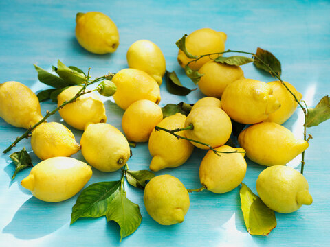 Xanthous Bilder – Durchsuchen 1,584,607 Archivfotos, Vektorgrafiken und ...