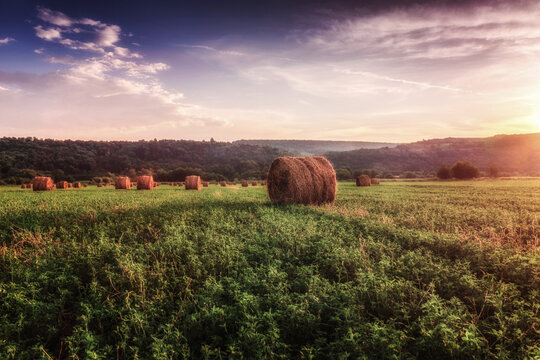 Bale 이미지 – 찾아보기 256,203 스톡 사진, 벡터 및 비디오 | Adobe Stock
