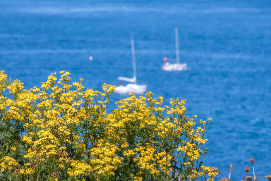 "Syn Bilder – Durchsuchen 4,334 Archivfotos, Vektorgrafiken und Videos ...