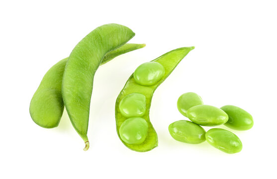 Pod 이미지 – 찾아보기 243,162 스톡 사진, 벡터 및 비디오 | Adobe Stock