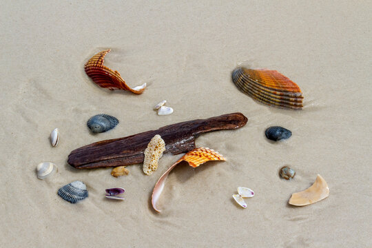 Beachcomb Bilder – Durchsuchen 3,096 Archivfotos, Vektorgrafiken und ...