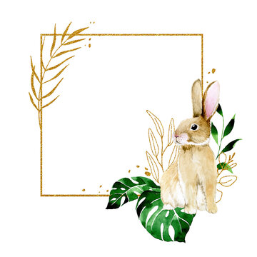 Bunny Border