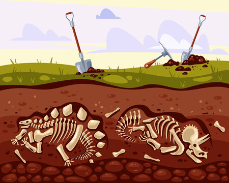 Cartoon Fossils Underground Images – Browse 1,324 Stock Photos, Vectors ...