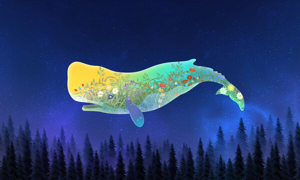 고래 Bilder – Durchsuchen 228 Archivfotos, Vektorgrafiken und Videos ...