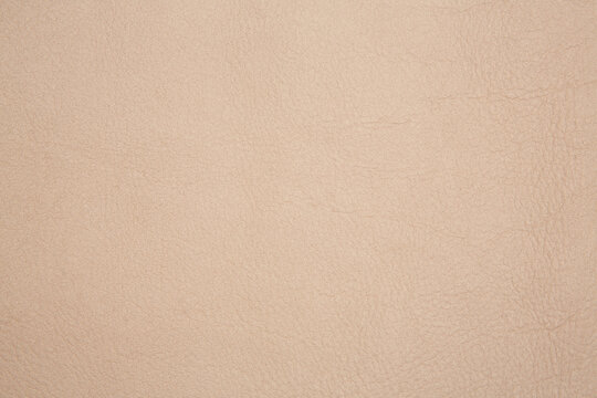 Imágenes de Leder: descubre bancos de fotos, ilustraciones, vectores y ...