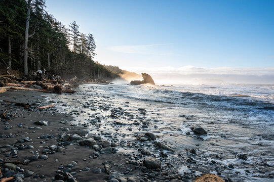 Beachcomb Images – Parcourir 2,774 le catalogue de photos, vecteurs et ...