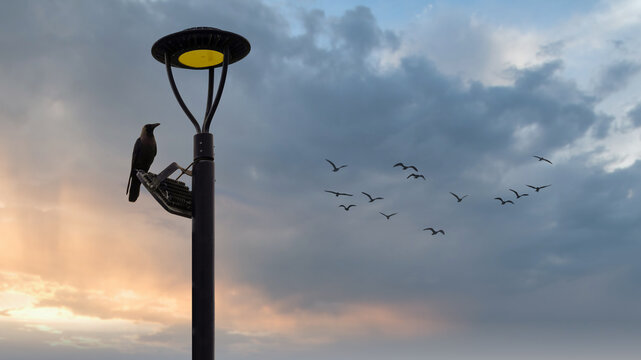 Lamp-Post Images – Browse 451,515 Stock Photos, Vectors, and Video ...