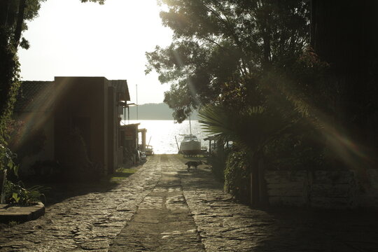 Jate Images – Browse 3 Stock Photos, Vectors, and Video | Adobe Stock