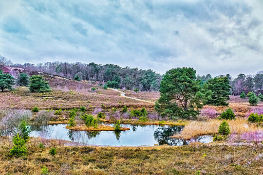 Luschen Bilder – Durchsuchen 469,558 Archivfotos, Vektorgrafiken und ...