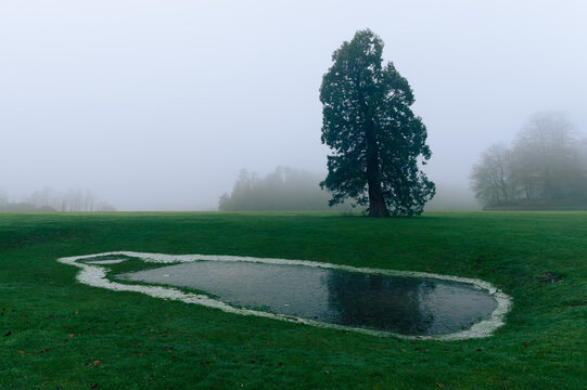 Hulp Bilder – Durchsuchen 239 Archivfotos, Vektorgrafiken und Videos ...