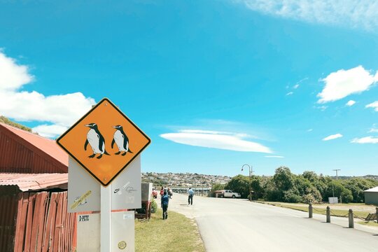 "Penguin Sign" Images – Browse 208 Stock Photos, Vectors, and Video ...