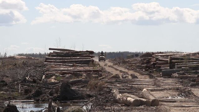 Cutover Images – Browse 130 Stock Photos, Vectors, and Video | Adobe Stock