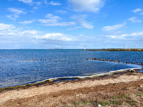 รูปภาพBassin – เลือกดูภาพถ่ายสต็อก เวกเตอร์ และวิดีโอ28,871 | Adobe Stock