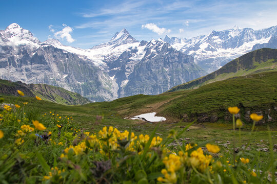 Luschen Bilder – Durchsuchen 469,558 Archivfotos, Vektorgrafiken und ...