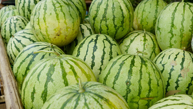 「Pakwan」の写真素材 | 408件の無料イラスト画像 | Adobe Stock