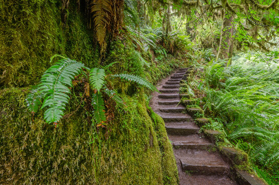 Jamie Hooper photos, images, assets | Adobe Stock