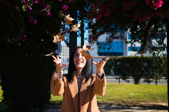 Equipoise Imagens – Procure 3,046 fotos, vetores e vídeos | Adobe Stock