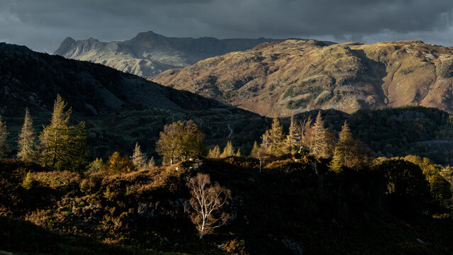 รูปภาพHolme – เลือกดูภาพถ่ายสต็อก เวกเตอร์ และวิดีโอ498 | Adobe Stock