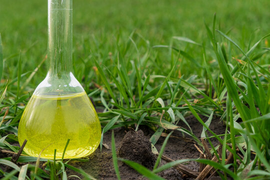 Agrochemistry Bilder – Durchsuchen 980 Archivfotos, Vektorgrafiken und ...