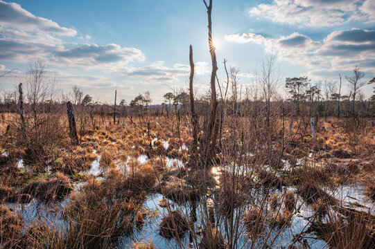Marschlandschaft Bilder – Durchsuchen 735,020 Archivfotos ...