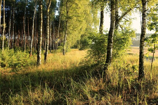 Ranek Bilder – Durchsuchen 3,461 Archivfotos, Vektorgrafiken und Videos ...