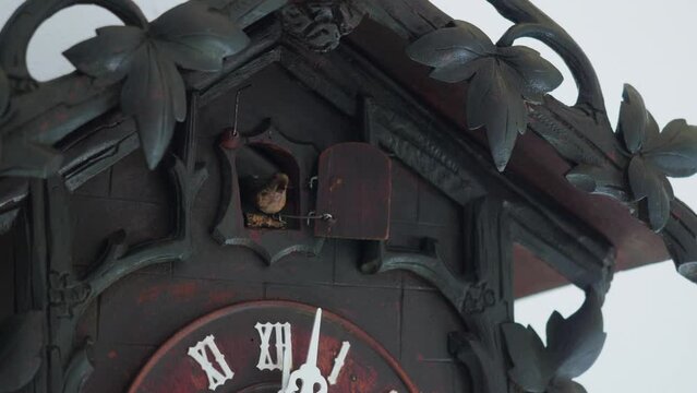 "Cuckoo Clock" Bilder – Durchsuchen 3,154 Archivfotos, Vektorgrafiken ...
