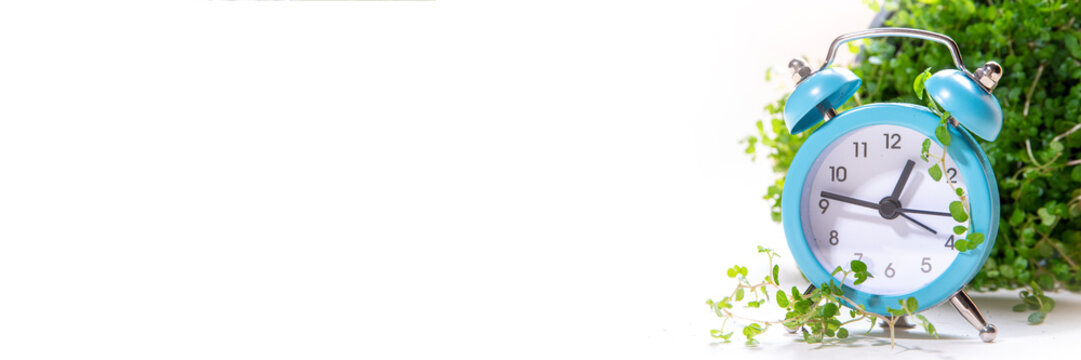 "Spring Time" Images – Browse 66,025 Stock Photos, Vectors, and Video ...