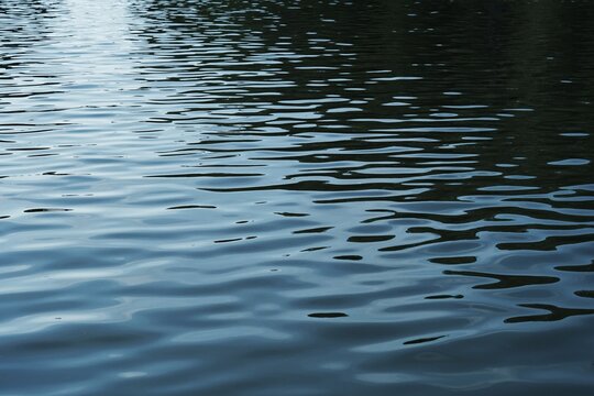 Ruffled Images – Parcourir 587,809 le catalogue de photos, vecteurs et ...