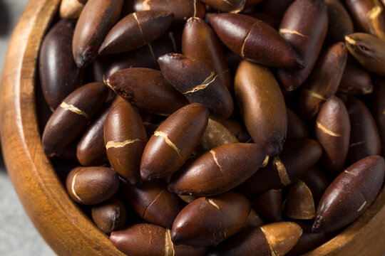 Barujo Images – Browse 71 Stock Photos, Vectors, and Video | Adobe Stock