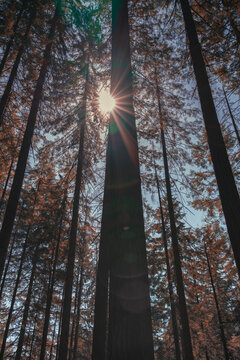 Thorough Images – Browse 4,078 Stock Photos, Vectors, and Video | Adobe ...