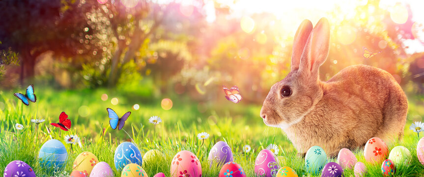 Adorn Images – Browse 3,336,879 Stock Photos, Vectors, and Video ...